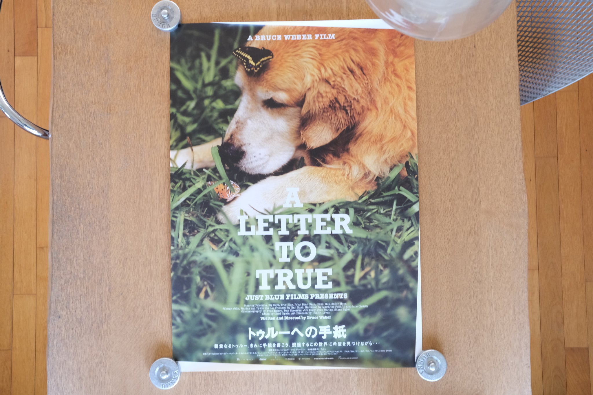 『A LETTER TO TRUE｜トゥルーへの手紙』オリジナル映画ポスター（B2サイズ）